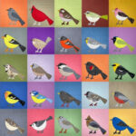 20 most beautiful bird quilt patterns designs in 2025