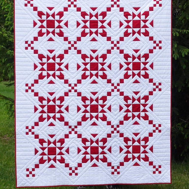 20 Most Two-Color Quilt Pattern Models of 2025