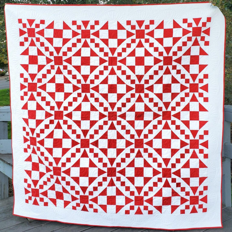 20 Most Two-Color Quilt Pattern Models of 2025